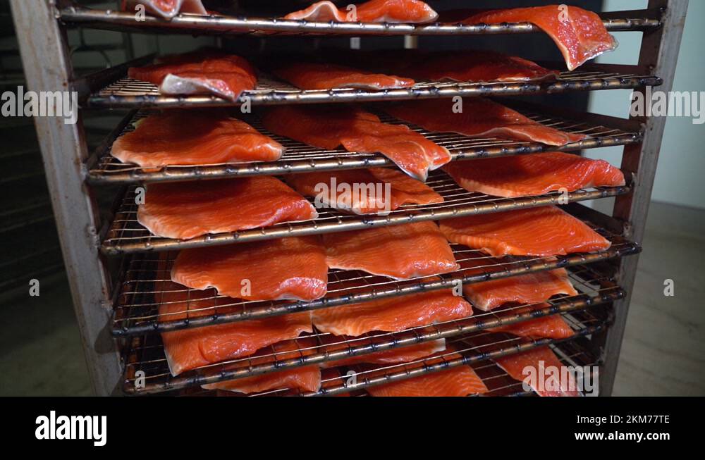 Salmon fish raw fillets Stock Videos & Footage - HD and 4K Video Clips ...