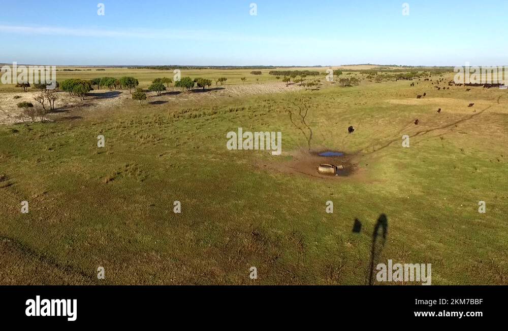 Australia cattle station Stock Videos & Footage - HD and 4K Video Clips ...