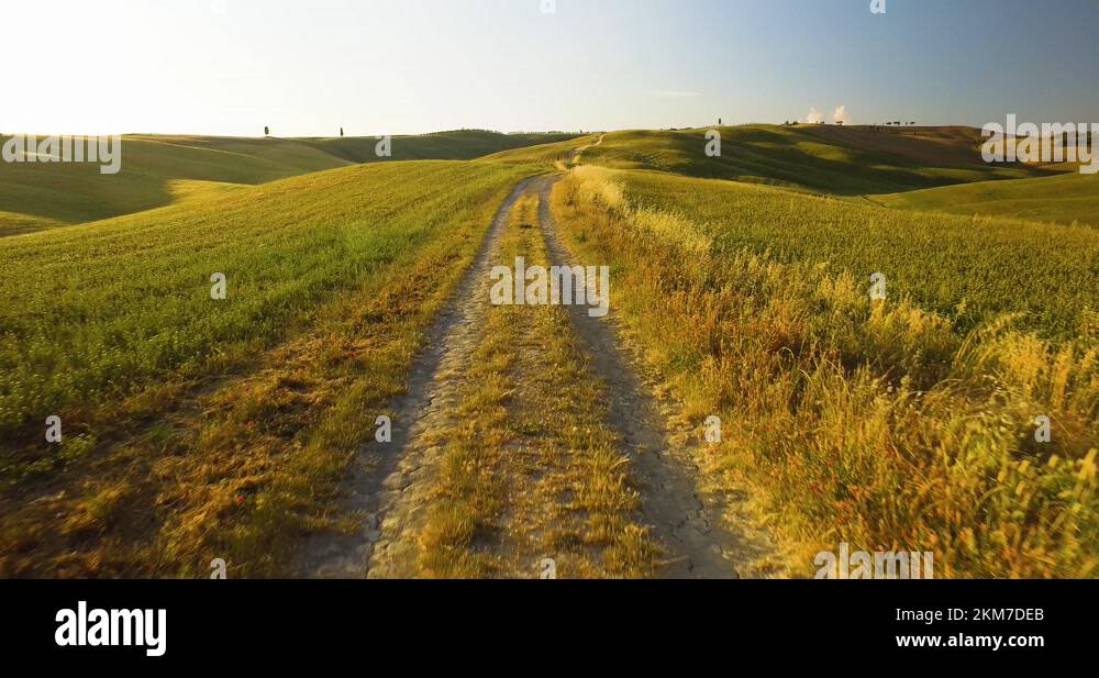 man running in an off road pathway. High tree on path side. Car moving ...