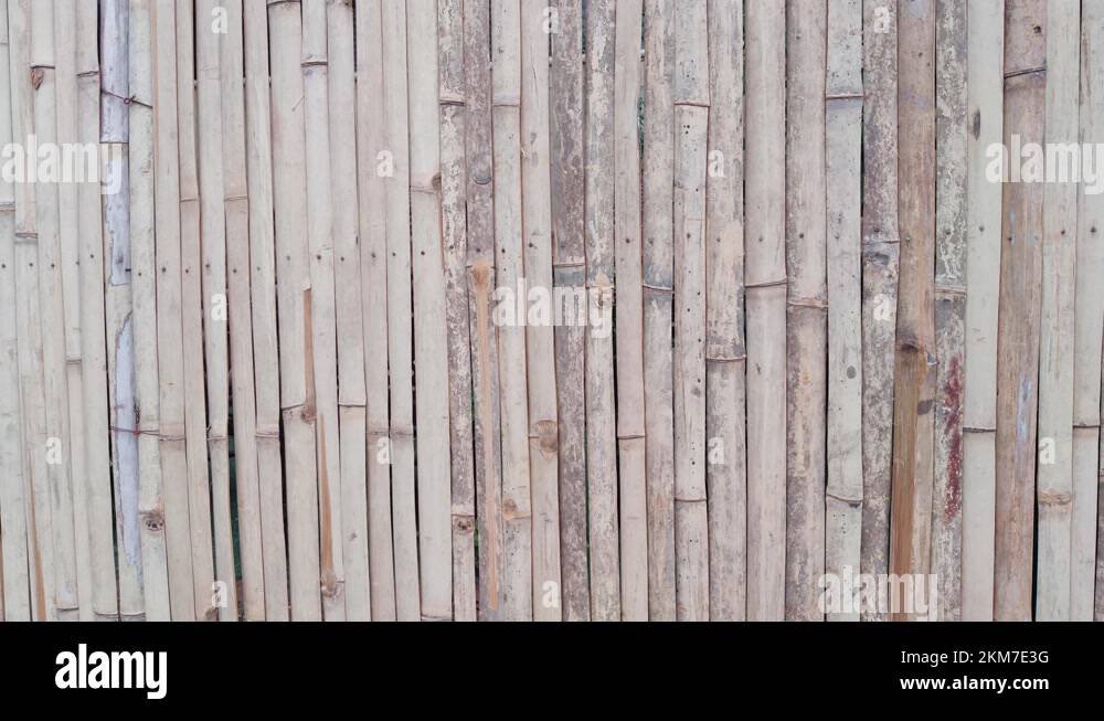 Striped bamboo Stock Videos & Footage - HD and 4K Video Clips - Alamy