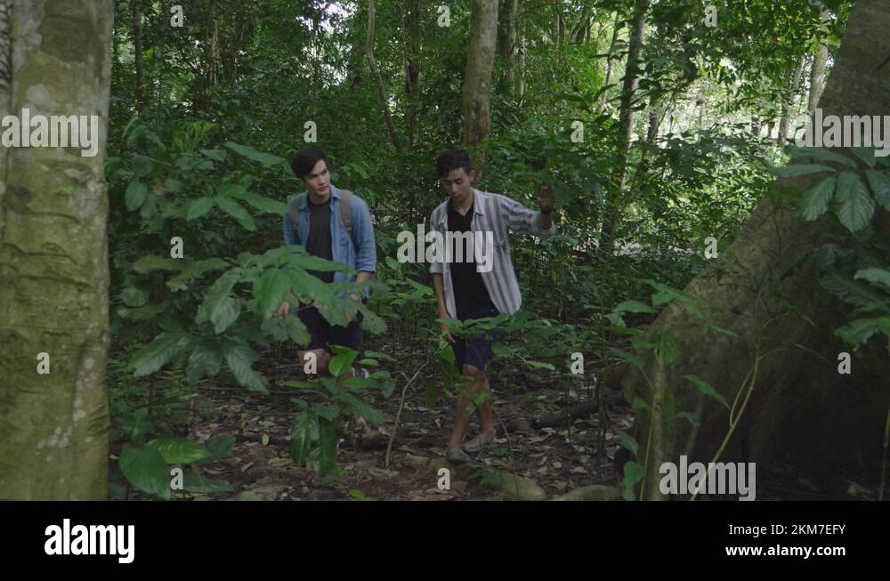 Tourist tree tree Stock Videos & Footage - HD and 4K Video Clips - Alamy