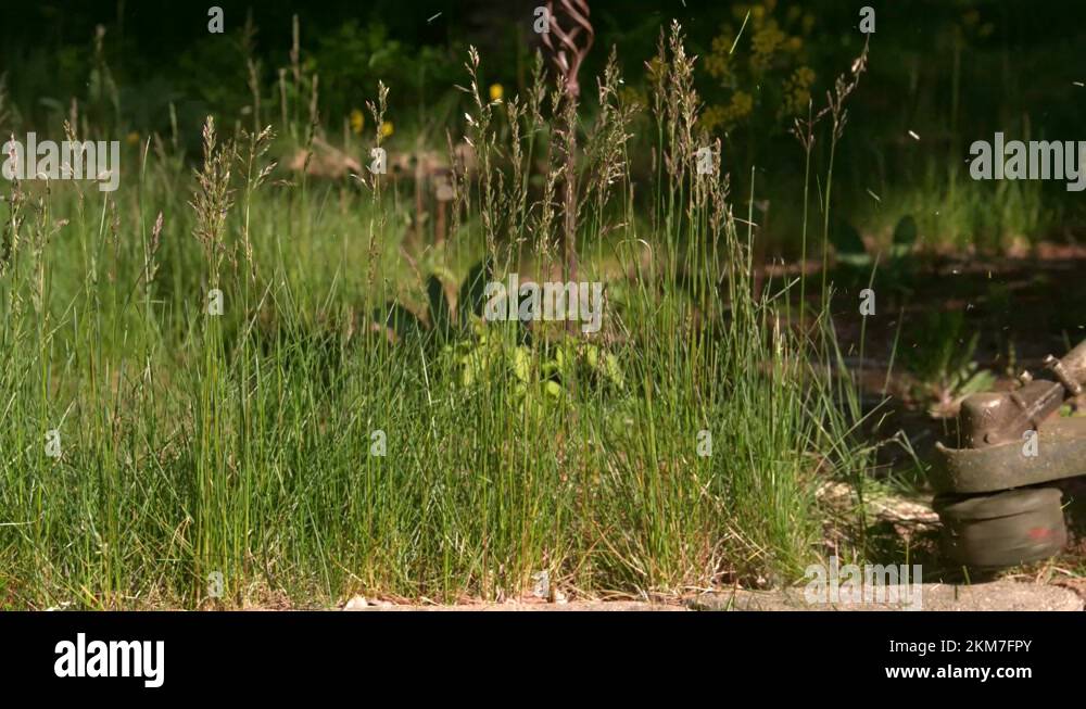 Weed whacker Stock Videos & Footage - HD and 4K Video Clips - Alamy