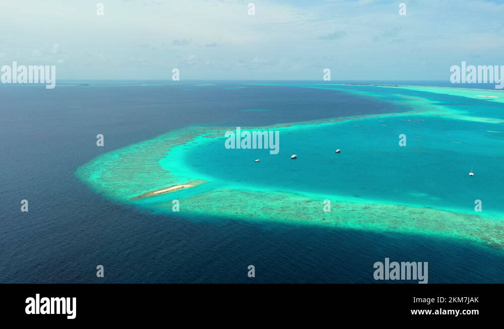 Coral reef sand Stock Videos & Footage - HD and 4K Video Clips - Alamy