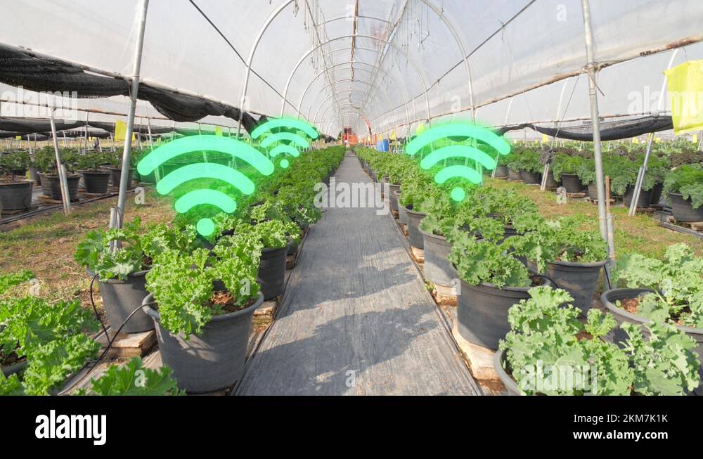 Smart agriculture, Smart farming, Wireless graphic icon on farm Stock ...