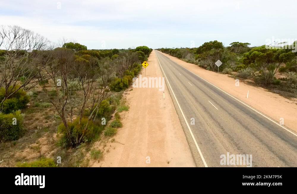 Empty Road with Road Sign, Australia outback, Eyre Highway, Eucalyptus ...
