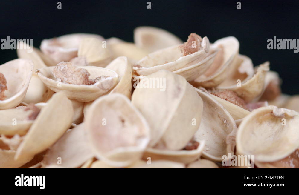 Mouth shell Stock Videos & Footage - HD and 4K Video Clips - Alamy
