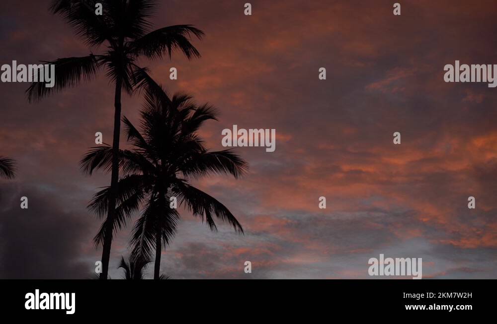 Destination silhouette Stock Videos & Footage - HD and 4K Video Clips ...