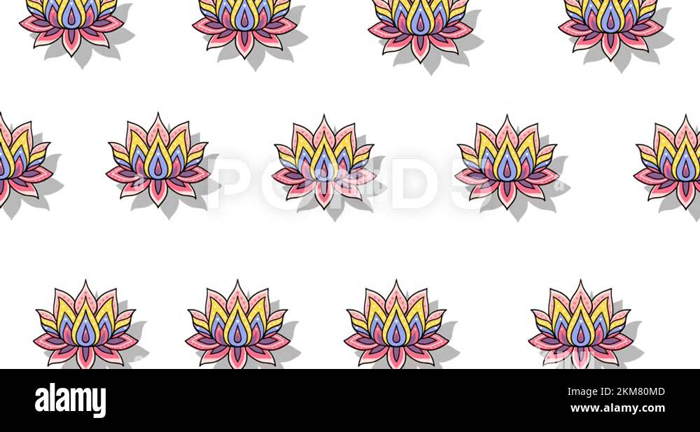 Lotus composition Stock Videos & Footage - HD and 4K Video Clips - Alamy