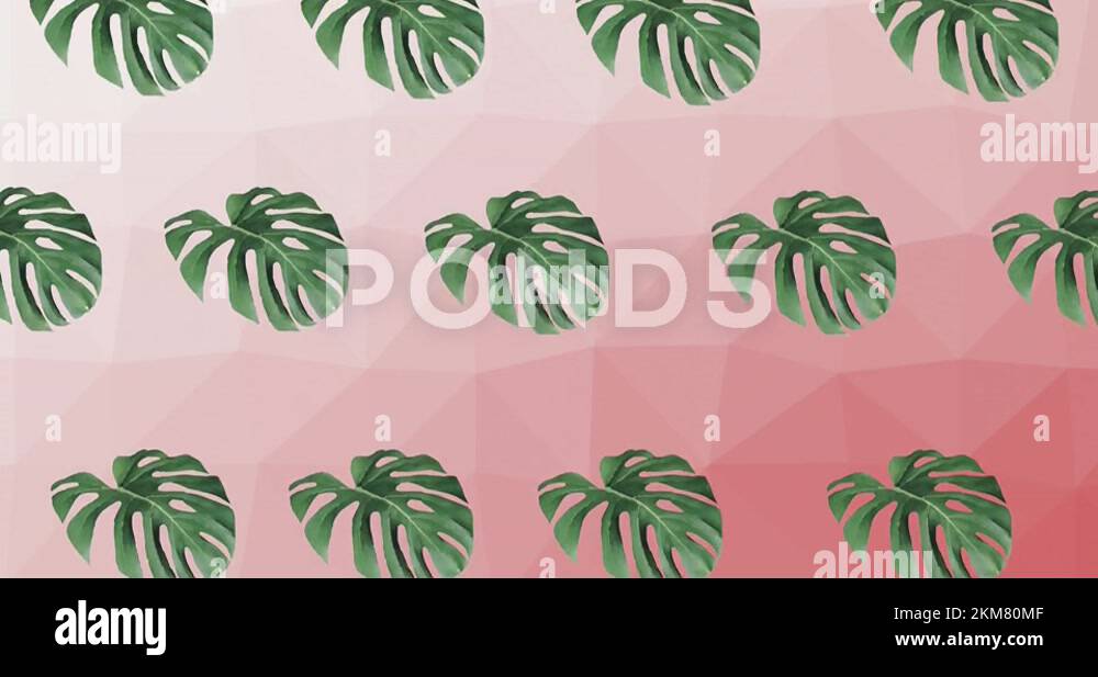 Plant rows illustration Stock Videos & Footage - HD and 4K Video Clips ...