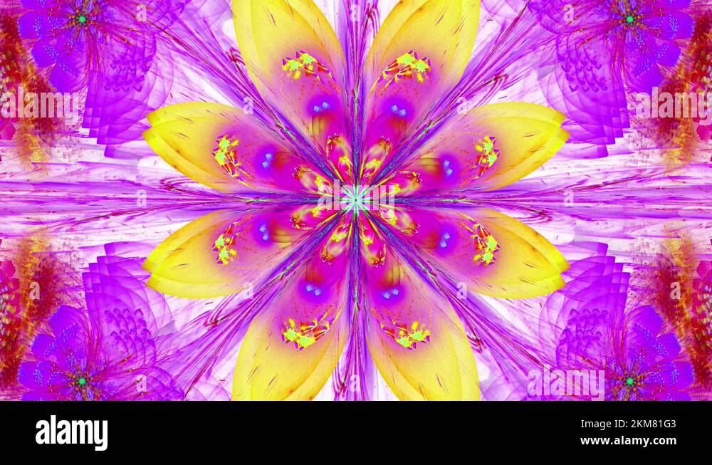 Loop able 4k digital changing flower background in changing colors ...