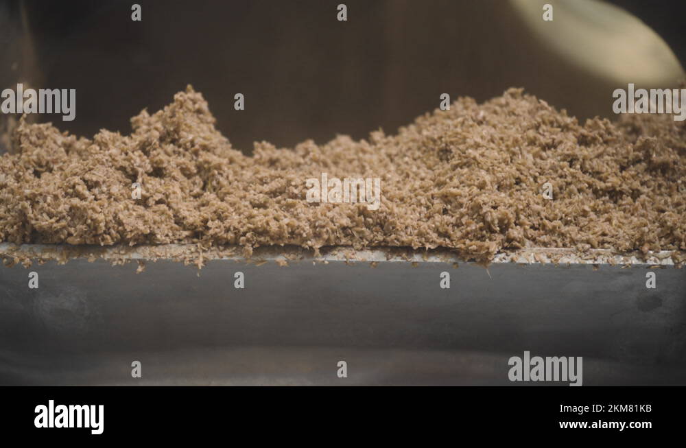 Beer malting process Stock Videos & Footage - HD and 4K Video Clips - Alamy
