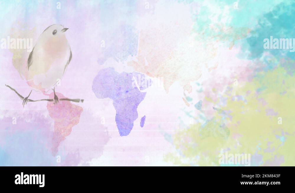 Bird map Stock Videos & Footage - HD and 4K Video Clips - Alamy