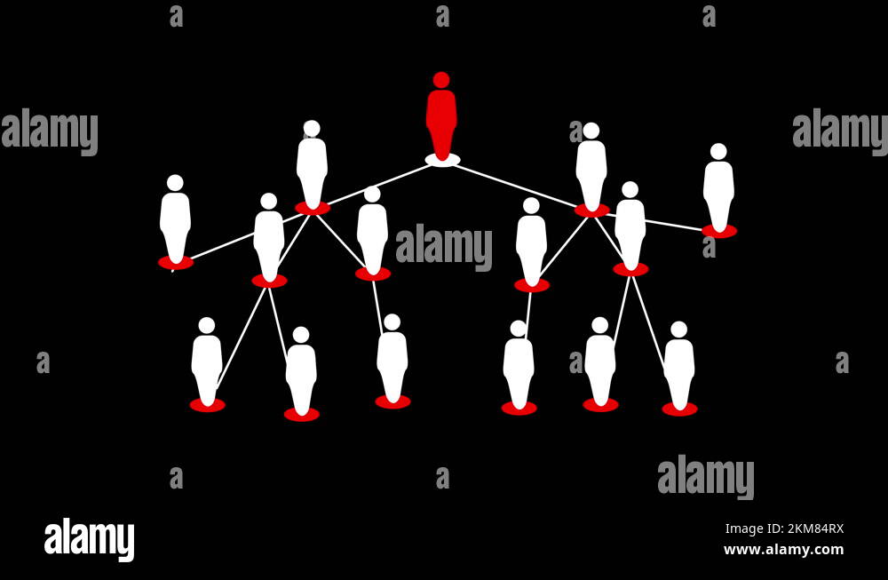 Flowchart structure Stock Videos & Footage - HD and 4K Video Clips - Alamy