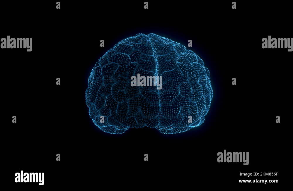 3d animation graphic design of brain and brain stem. 3D Animation of ...