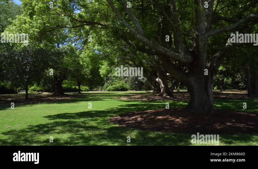 Flora and Plants on display in a small park in South Carolina Stock ...