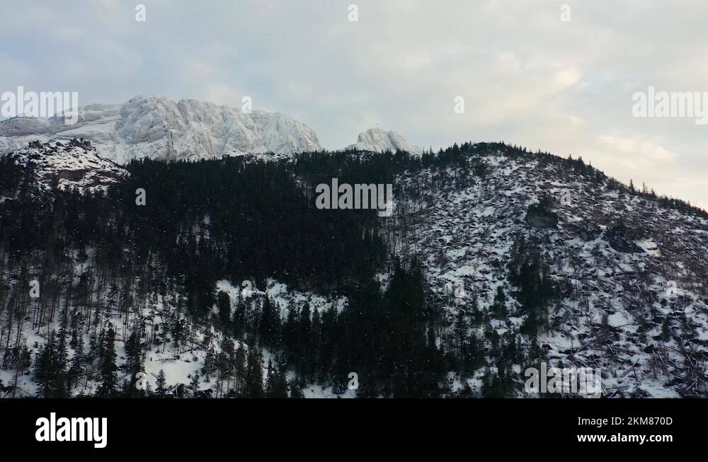 Winter woodland border Stock Videos & Footage - HD and 4K Video Clips ...