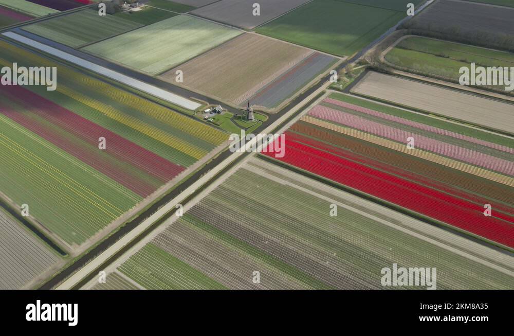Dutch division Stock Videos & Footage - HD and 4K Video Clips - Alamy