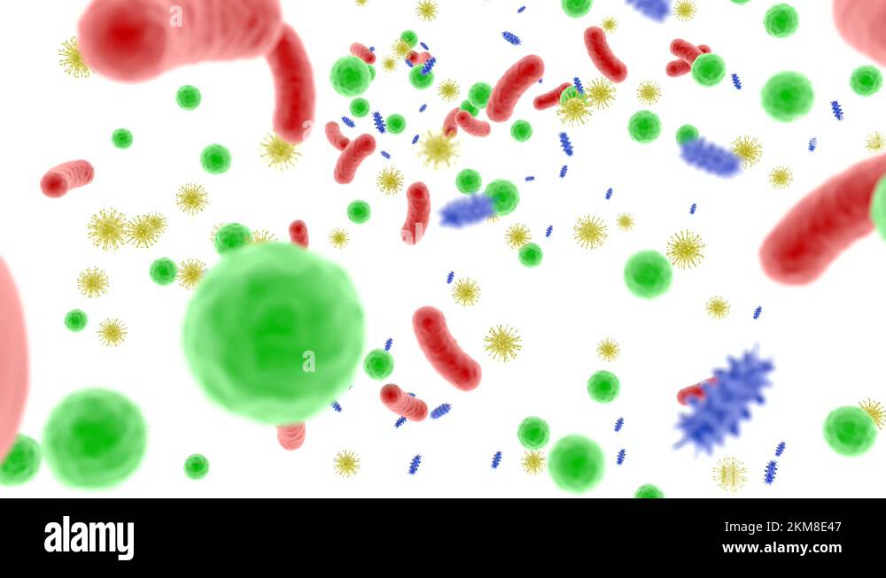 Microbes human body Stock Videos & Footage - HD and 4K Video Clips - Alamy