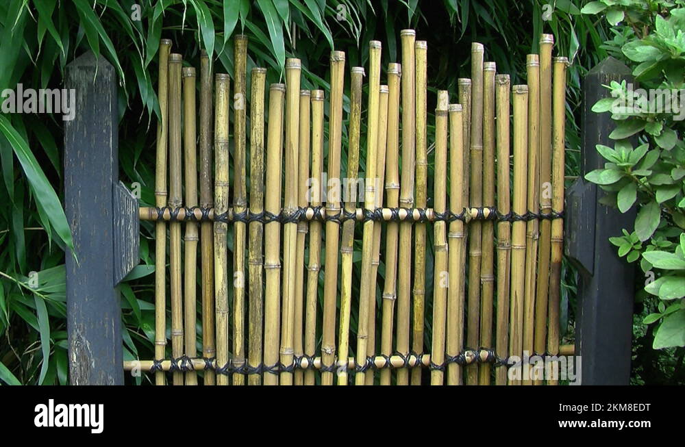 Bamboo gate Stock Videos & Footage - HD and 4K Video Clips - Alamy