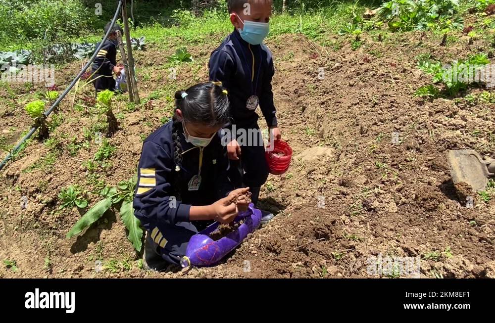 Kids planting a tree Stock Videos & Footage - HD and 4K Video Clips - Alamy