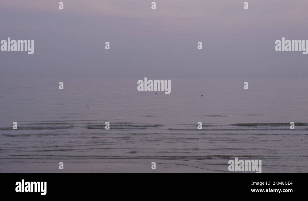 Hazy sunshine Stock Videos & Footage - HD and 4K Video Clips - Alamy