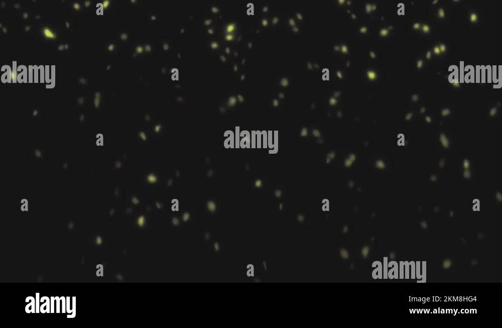 Small gold particles scatter, shimmer and combine into one molecule ...