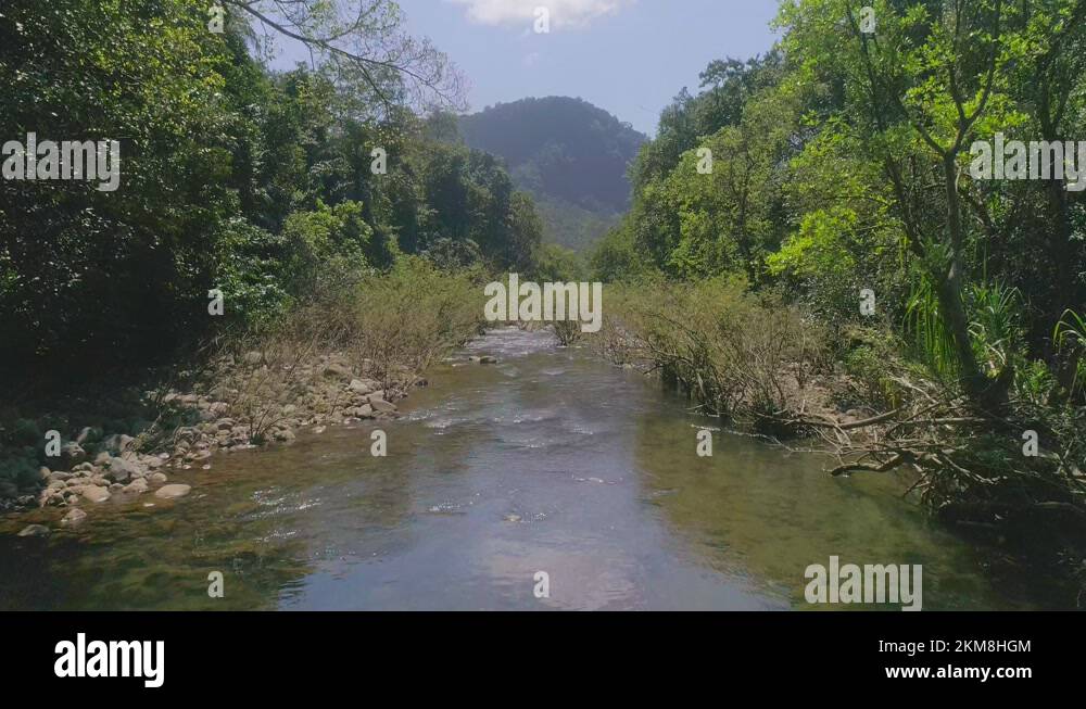 Dry jungle Stock Videos & Footage - HD and 4K Video Clips - Alamy