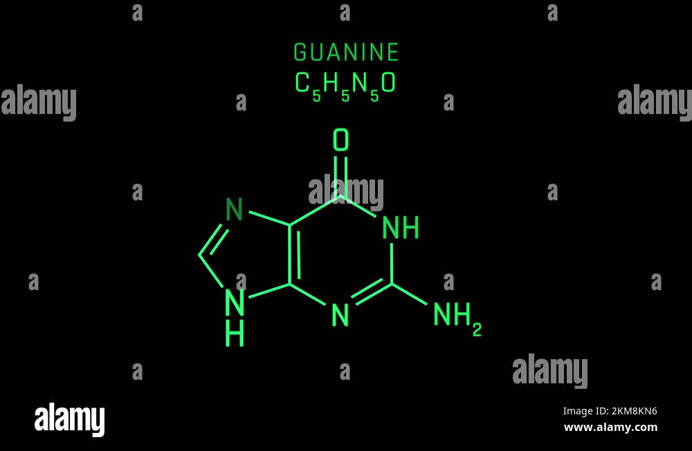 Guanine molecular Stock Videos & Footage - HD and 4K Video Clips - Alamy