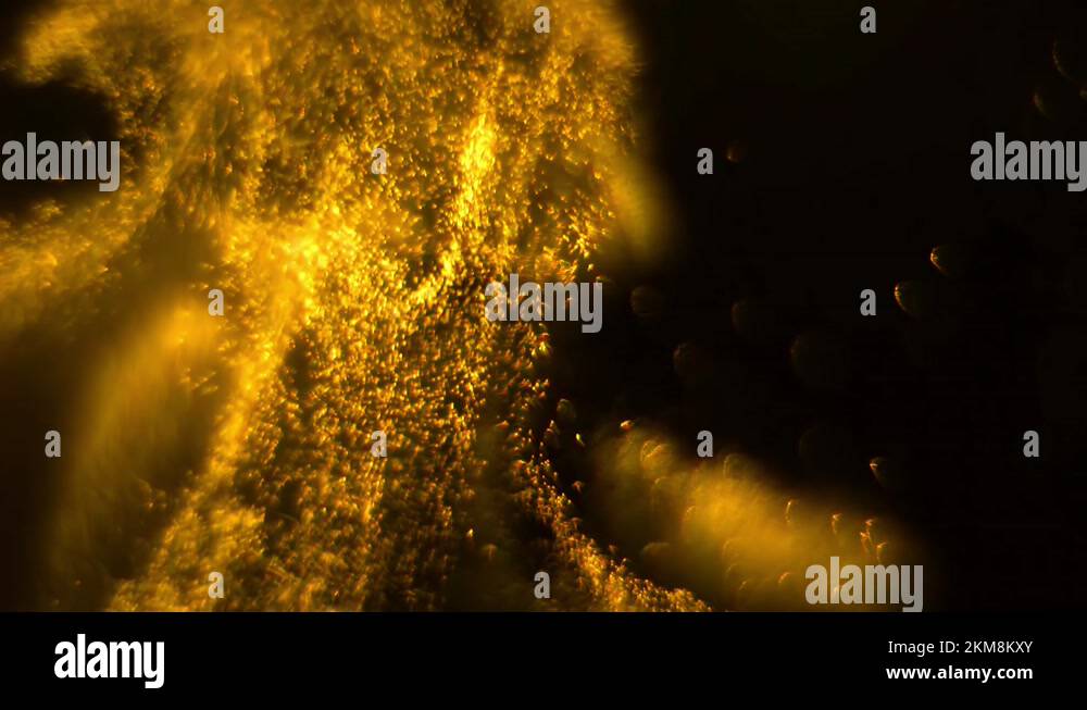 Abstract golden background particles animation Stock Videos & Footage ...