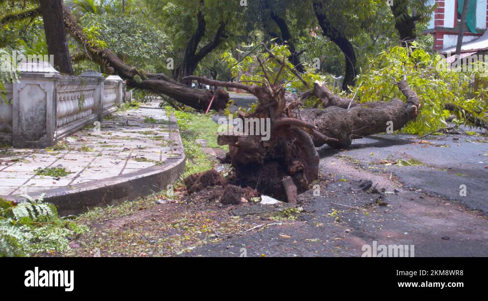 Cyclone Stock Videos & Footage - HD and 4K Video Clips - Alamy