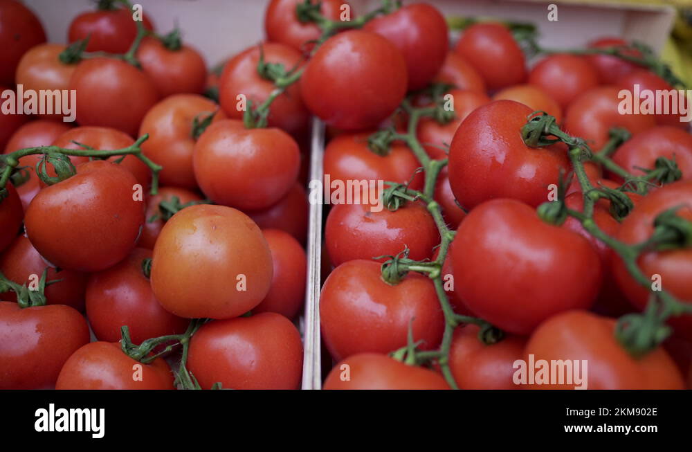 Tomatoes for sale at the market stall Stock Videos & Footage - HD and ...