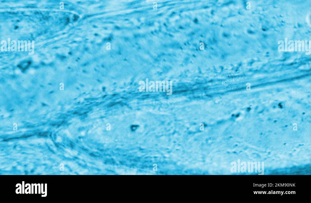 Histology tissues Stock Videos & Footage - HD and 4K Video Clips - Alamy