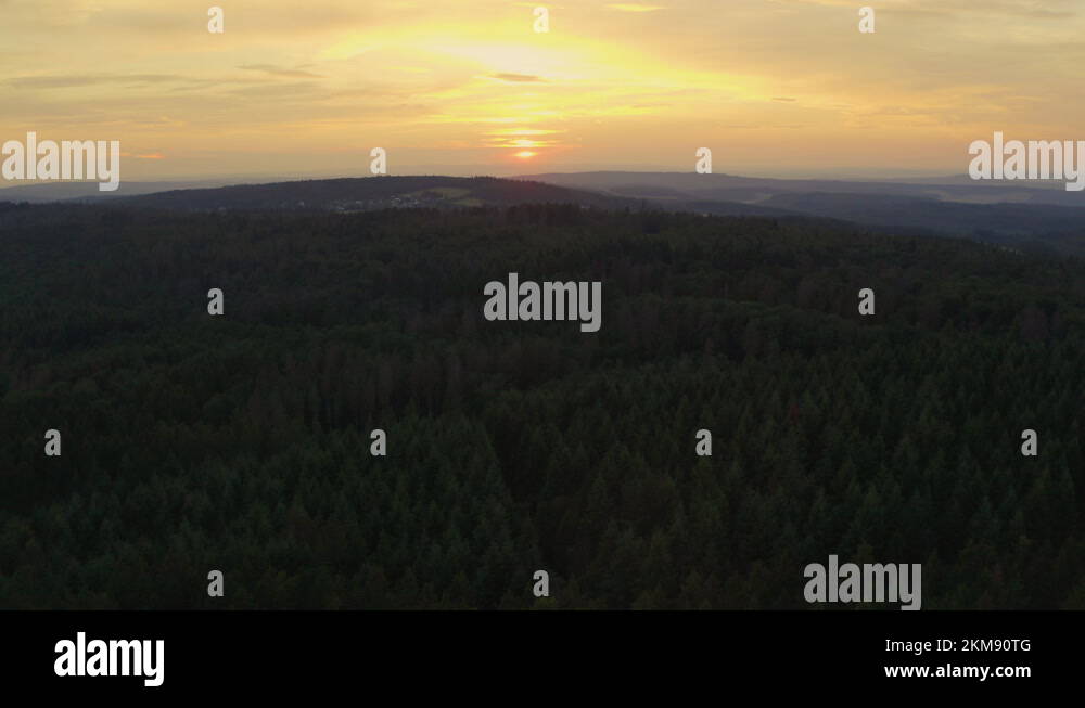 German forest Stock Videos & Footage - HD and 4K Video Clips - Alamy