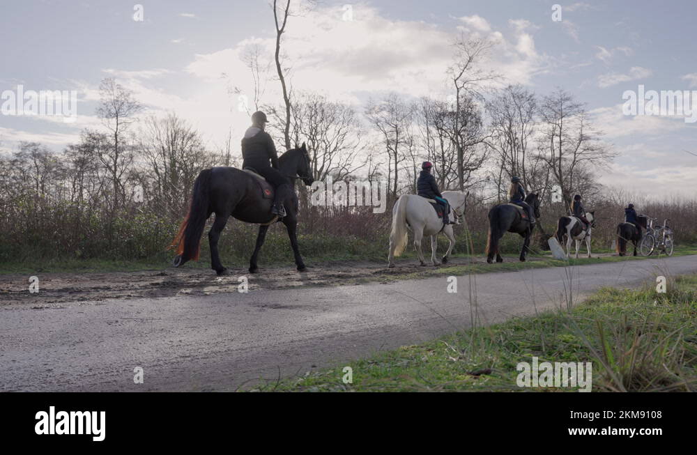 Trail riding horses europe Stock Videos & Footage - HD and 4K Video ...