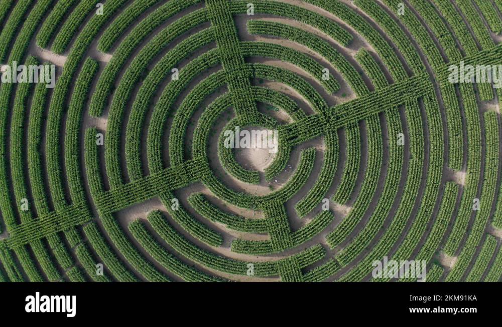 Giant labyrinth Stock Videos & Footage - HD and 4K Video Clips - Alamy
