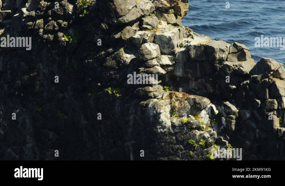 Basalt rock lichen Stock Videos & Footage - HD and 4K Video Clips - Alamy
