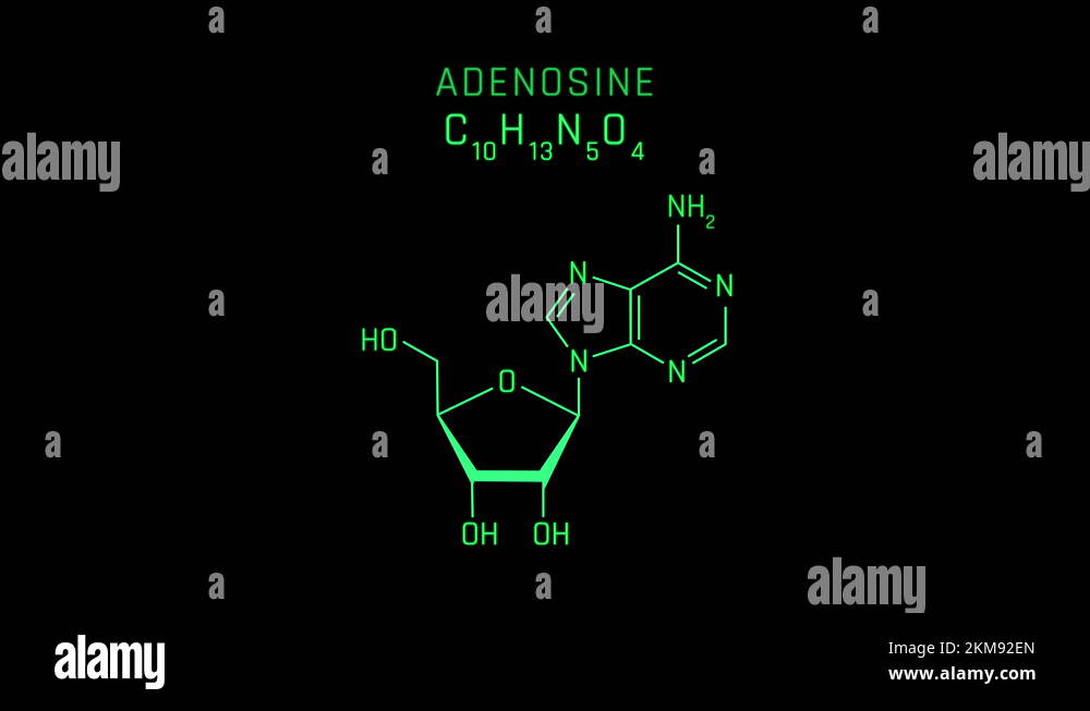 Adenosine model Stock Videos & Footage - HD and 4K Video Clips - Alamy