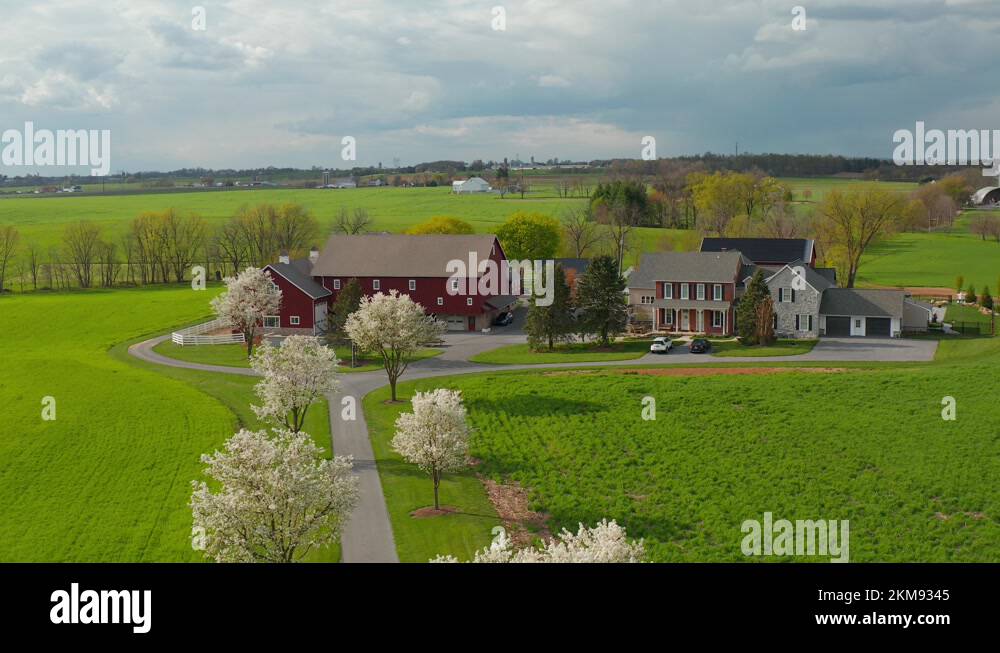 Cherry tree lane Stock Videos & Footage - HD and 4K Video Clips - Alamy