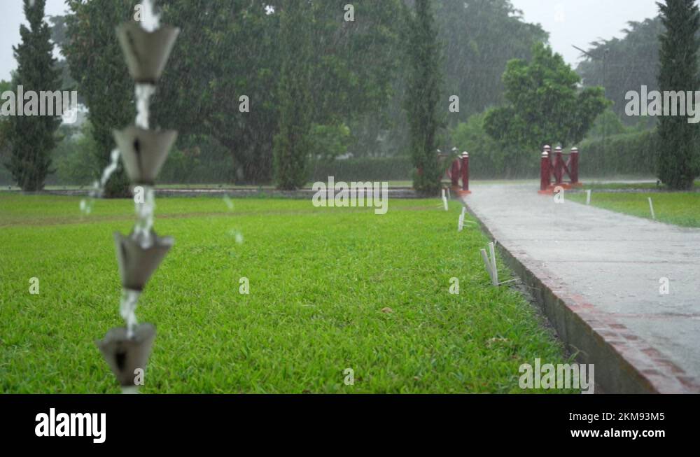 Drips of rain Stock Videos & Footage - HD and 4K Video Clips - Alamy