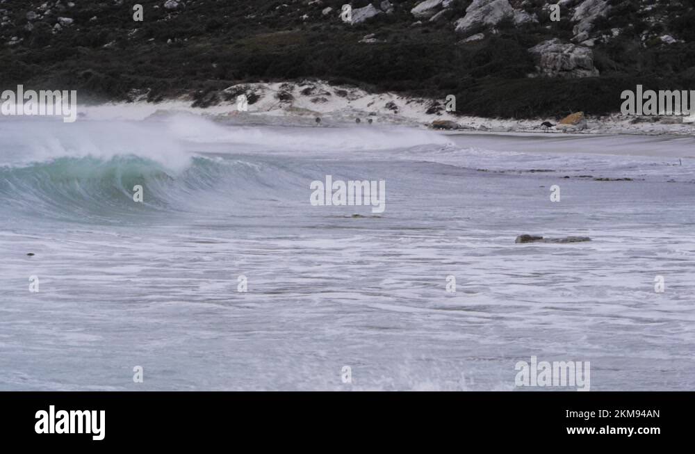 Wave building Stock Videos & Footage - HD and 4K Video Clips - Alamy