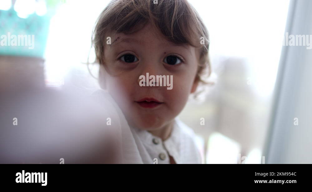 Lens camera Stock Videos & Footage - HD and 4K Video Clips - Alamy