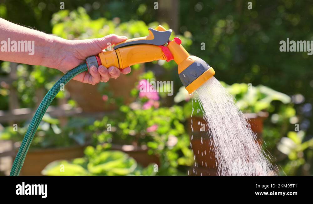 Watering the garden uk Stock Videos & Footage - HD and 4K Video Clips ...