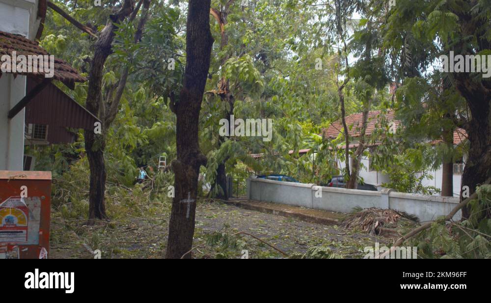 India cyclone damage Stock Videos & Footage - HD and 4K Video Clips - Alamy