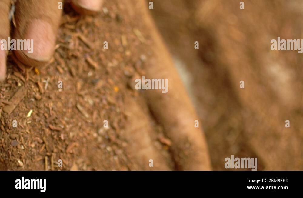 Creating roots Stock Videos & Footage - HD and 4K Video Clips - Alamy