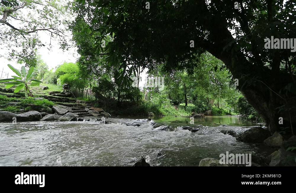 Fast-moving water over rocks in a river with overhanging trees in ...
