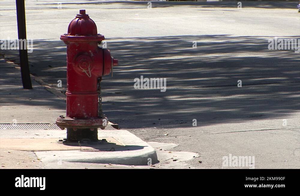 Hydrant tropical Stock Videos & Footage - HD and 4K Video Clips - Alamy