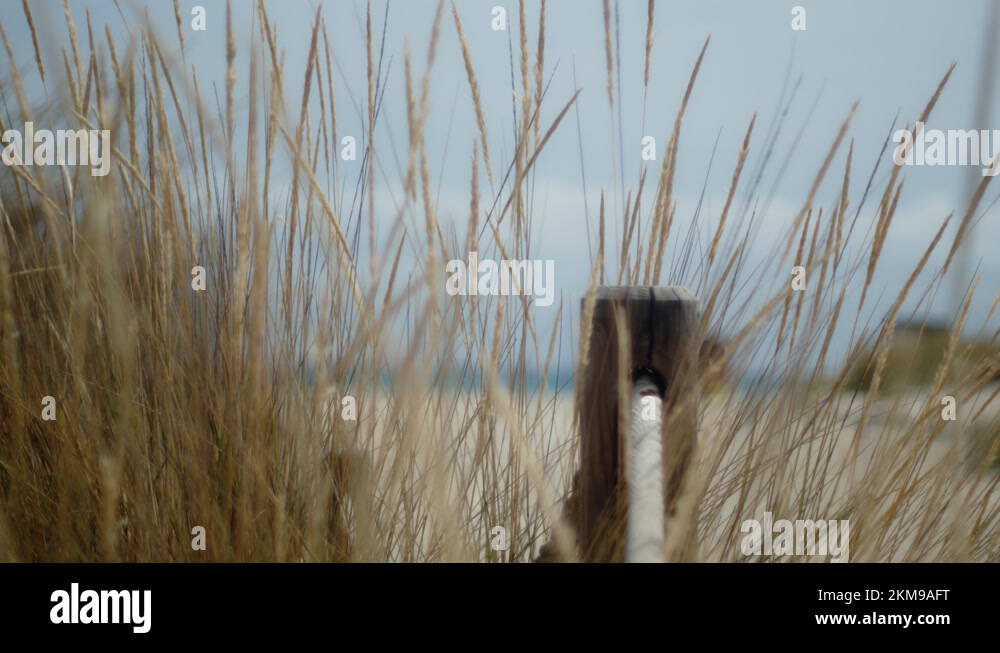 Rope in sand Stock Videos & Footage - HD and 4K Video Clips - Alamy