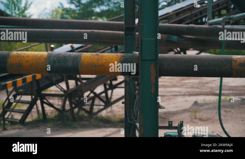 Macro site Stock Videos & Footage - HD and 4K Video Clips - Alamy