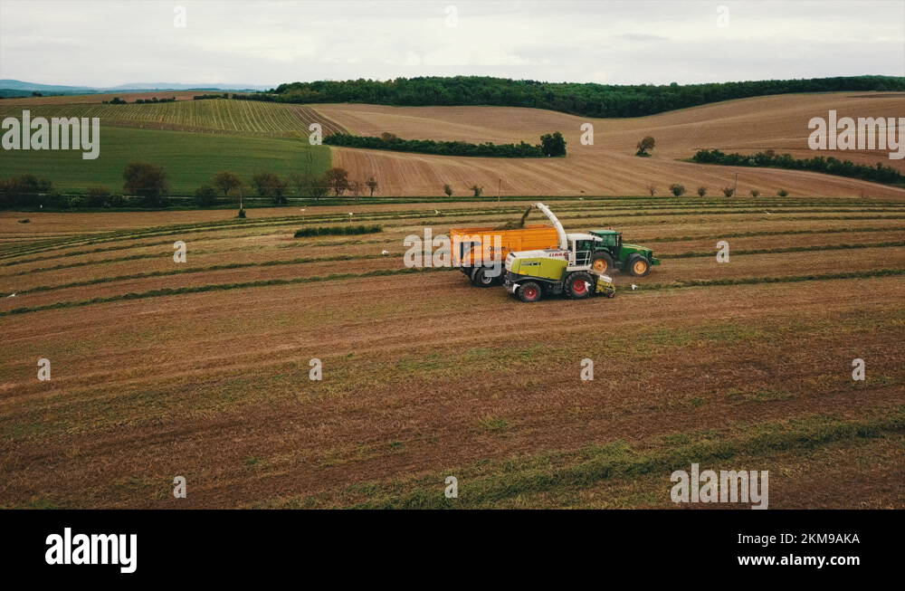 Combine Harvester Harvesting And Unloading Crops Into Trailer Mounted ...