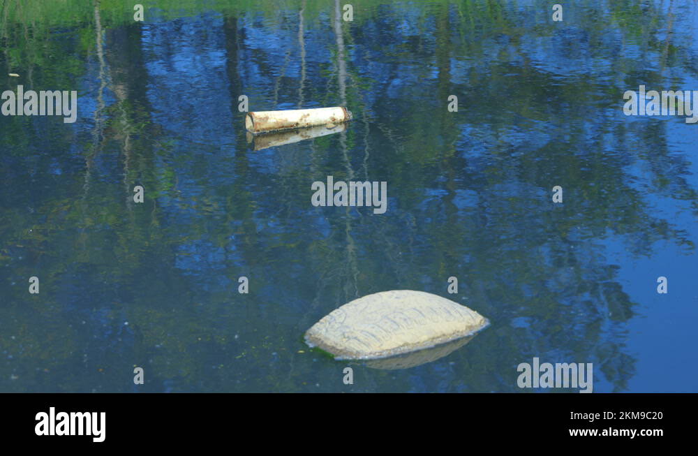 Stock pond Stock Videos & Footage - HD and 4K Video Clips - Alamy